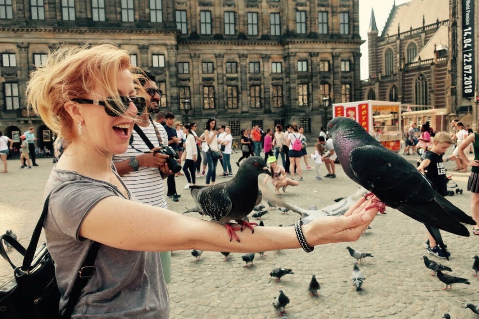 About Liz Lacy | Elizabeth Lacy, LCSW, PLLC